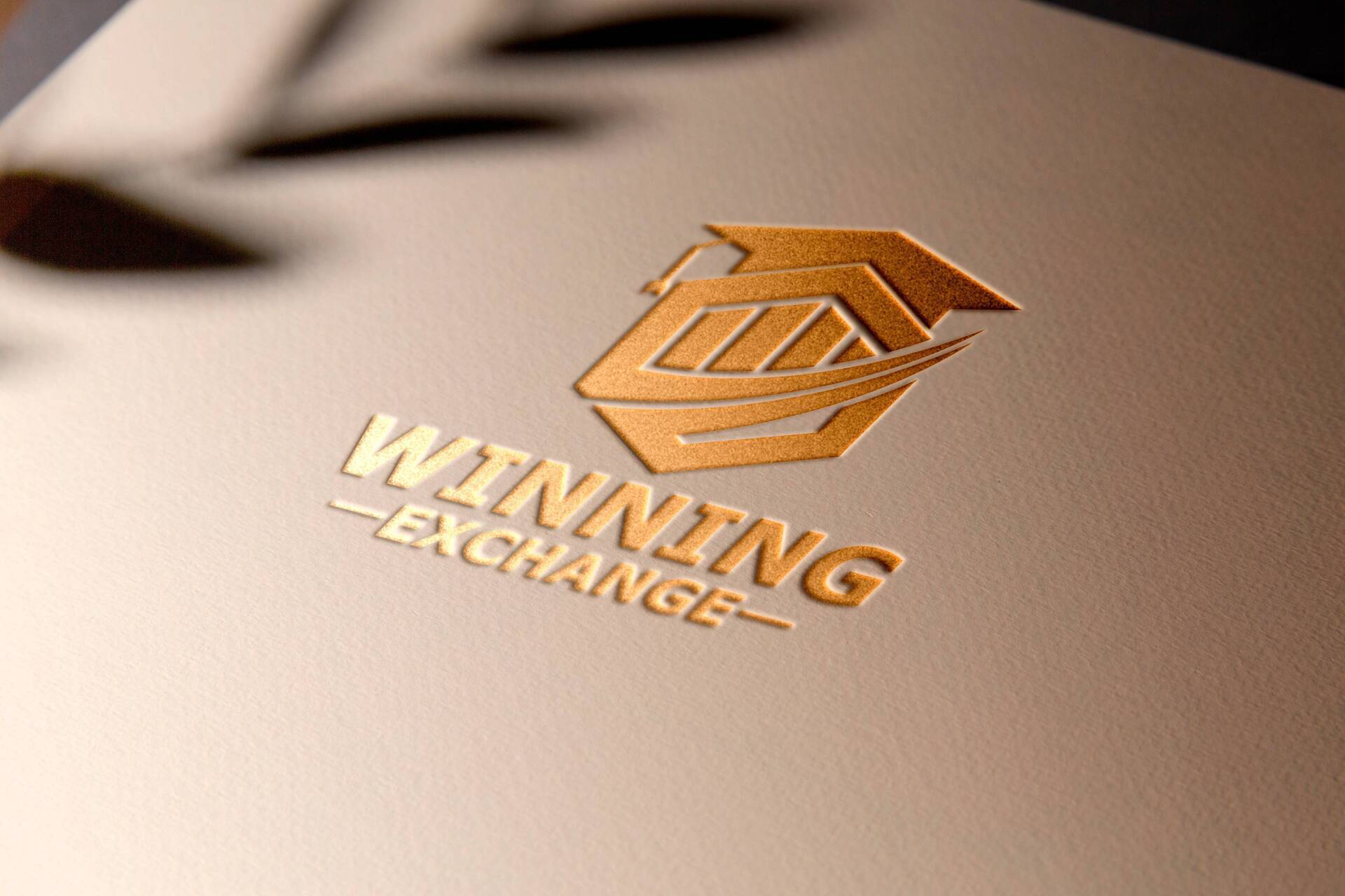 Winning Exchange: デジタル通貨と伝統的な通貨の融合: 高木健一